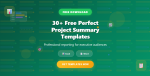 30+ Free Perfect Project Summary Templates (Excel And Word) - Learn ...